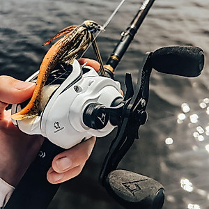 Piscifun Carbon XCS Baitcaster Reel, 5.5 oz Baitcasting Fishing Reel, 8.1:1 Gear Ratio & Dual Brake System Carbon Frame Smooth Casting Reel, Matte White Right Handed