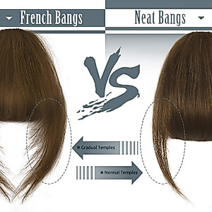 BARSDAR Human Hair Clip in Bangs - Human Hair Bangs Clip in Extensions for Women, French Thick Brown Hair Bangs Clip on Fringe Real Human Hair Bangs Hairpieces Daily - Golden Chestnut Brown