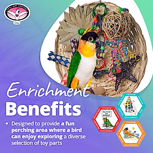 Super Bird Creations SB543 Busy Birdie Play Perch Bird Toy, Small/Medium Bird Size, 9.5" x 9.5" x 6"