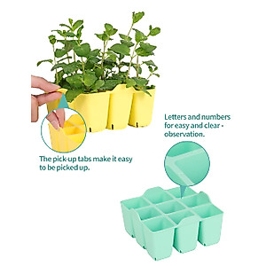 LUVCOSY 4 Packs Silicone Seed Starter Tray, Colorful Seedling Starter Trays Fit Up to 10" 10" Planting Tray, BPA-Free & Dishwasher Safe, Indoor Reusable Seedling Grow Kit for Vegetable, Flower, Herb