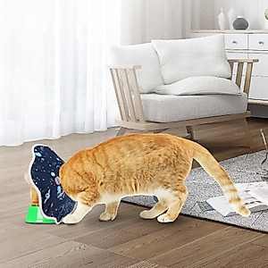 Mechpia Cat Cone Collar Soft, Cat Recovery Collar to Stop Licking, Protective Cat Neck Cone After Surgery for Small Medium Cats Kittens