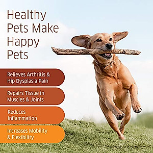 Glucosamine for Dogs - Hip and Joint Supplement Dogs - Glucosamine Chondroitin for Dogs with MSM, Hemp, Turmeric & Omega 3 - Dog Hip and Joint Supplement - Dog Pain Relief, 120 Soft Dog Joint Chews