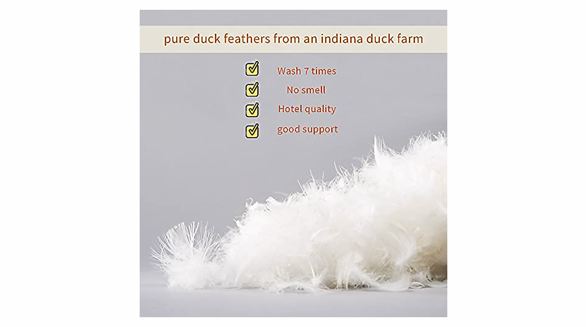 YSTHER Down Feather Throw Pillow Inserts 20x20 Set of 2 Square Form ...