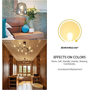 Vintage LED Edison Bulb G30 4W Dimmable LED Filament Bulb Globe Pineapple Shaped Light Bulb 2300K Warm White E26 400LM Equivalent 40W Incandescent (Clear, 6 Pack)