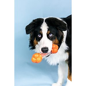 Nylabone Strong Chew Sneaky Snacker Treat Toy for Dogs, Interactive Dog Enrichment Chew Toys, Bacon Flavor, Large/Giant - Up to 50 lbs. (1 Count)