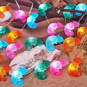 BELNIAK Tropical Theme Chameleon String Lights Outdoor Indoor 20LEDs 8ft Battery Operated Cute Decorative Lights for Bedroom Garden Yard Birthday Xmas Cake Decoration