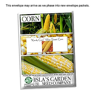 "Kandy Corn" Sweet Corn Seeds, 25 Heirloom Seeds Per Packet, (Isla's Garden Seeds), Non GMO Seeds, Botanical Name: Zea mays