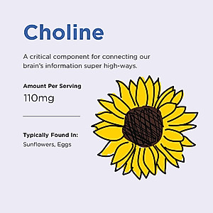 Little Brainiac Organic Fruit & Veggie Toddler Pouches, Apple, Carrot, Banana Puree with Omega-3s DHA/EPA and Choline, Clean Label, BPA-Free, Non-GMO, 3.5 oz, Pack of 12