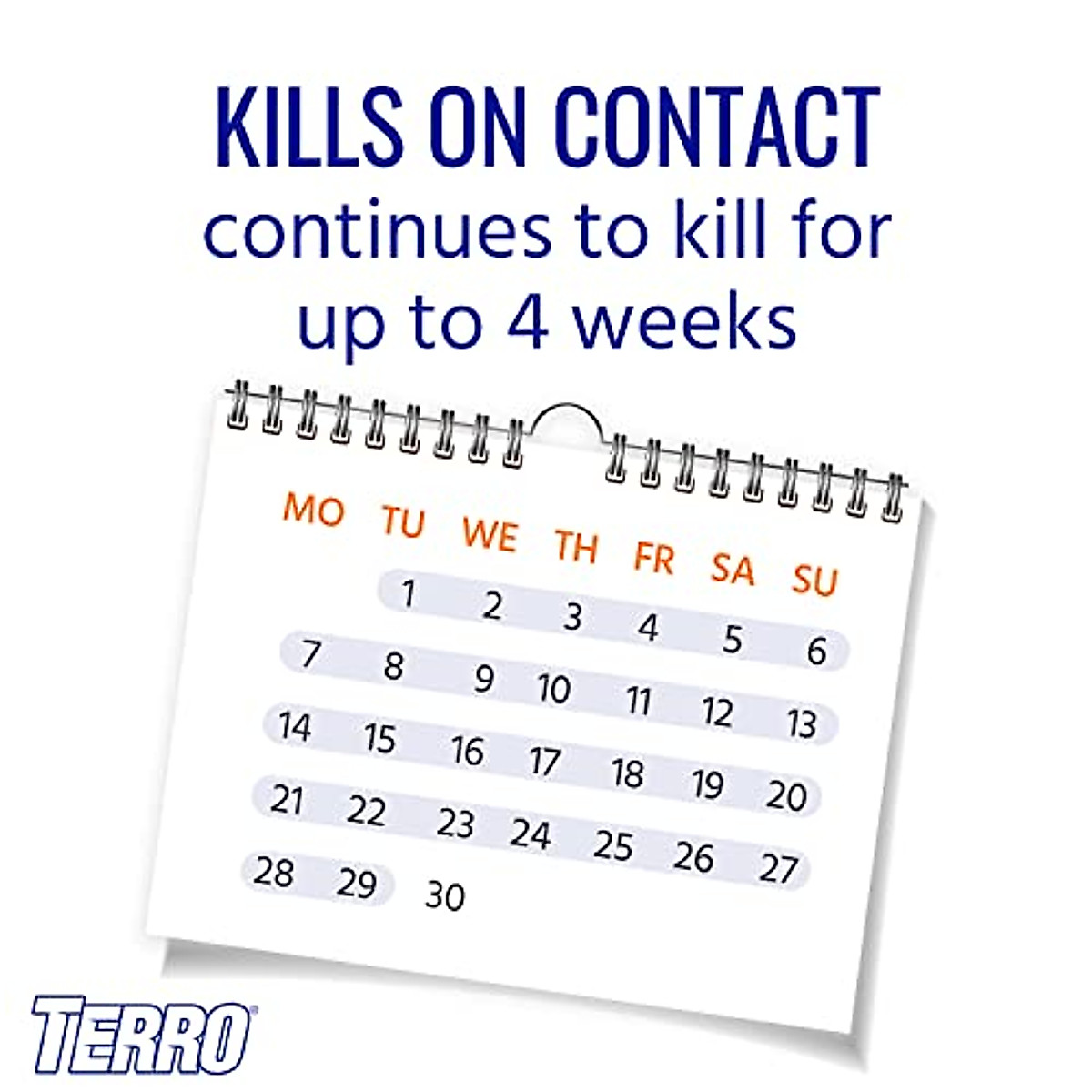 TERRO T1901SR Ready to Use Indoor and Outdoor Carpenter Ant, Termite, and Carpenter Bee Killer Aerosole Spray - 2 Pack 32 Total Ounces