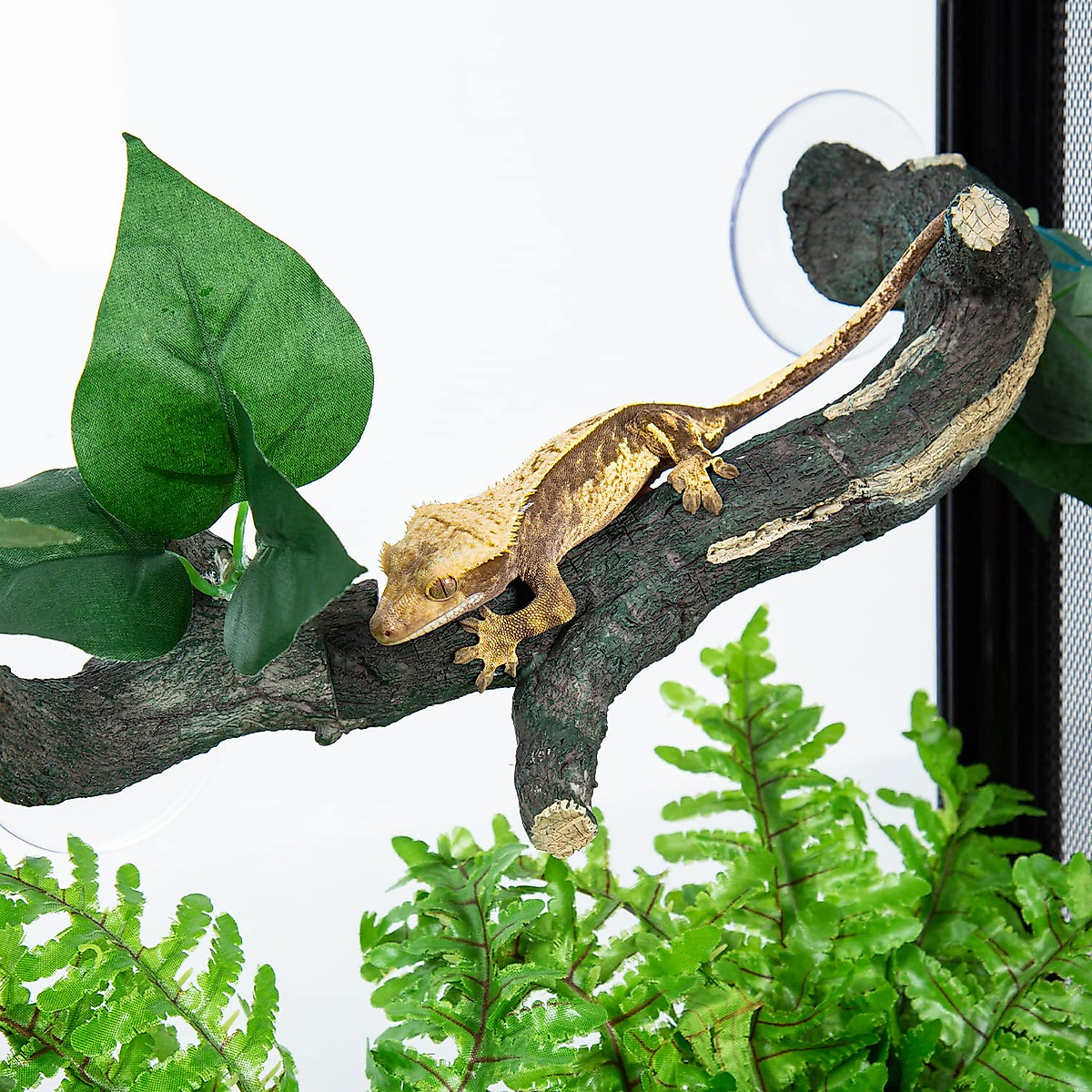 REPTIZOO 3 PCS Reptile Climbing Branch Terrarium Plants Decor with Suction Cup Resin Spliceable Corner Branch for Amphibian Snake Lizards Geckos Habitat Decor