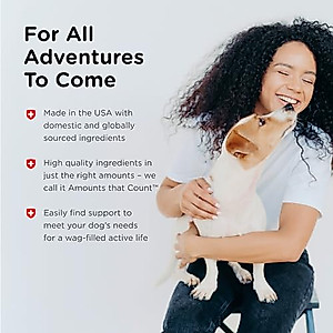 Nutri-Vet Skin & Coat Biscuits for Dogs - Tasty Dog Treat & Dog Skin and Coat Supplement - Small Sized Biscuit - Omega-3 and Biotin Dog Treat - 16 oz