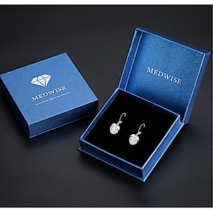 Monstera Earrings 925 Sterling Silver Leverback Earrings Palm Leaves Tropical Earrings Plant Dangle Drop Earring for Women Fashion Jewelry