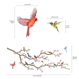 DECOWALL DAT-2004 Garden Birds on Tree Branch Kids Wall Stickers Wall Decals Peel and Stick Removable Wall Stickers for Kids Nursery Bedroom Living Room d?cor