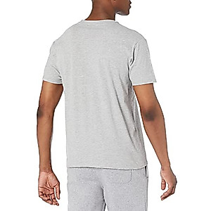Hanes Men's Nano Premium Cotton T-Shirt (Pack of 2), Light Steel, Medium