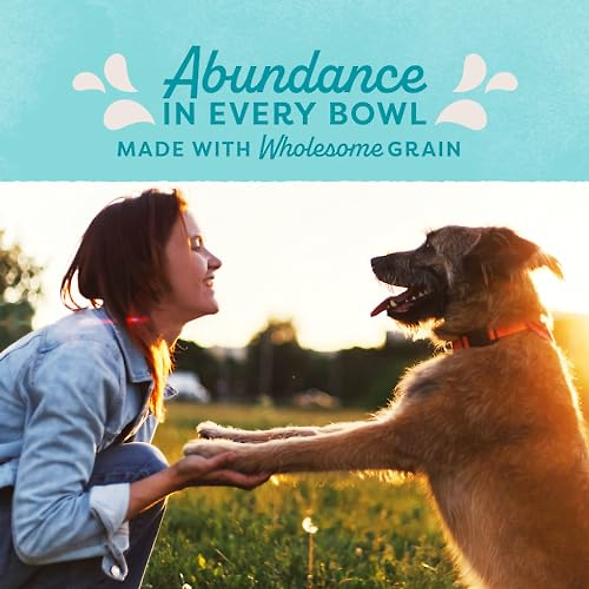 Natural Balance Original Ultra Adult Dry Dog Food with Superfood Blend and Healthy Grains, Chicken & Barley Recipe, 24 Pound (Pack of 1)