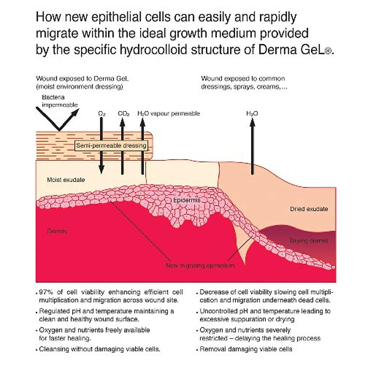 Veterinus Derma GeL® Tube 100mL - 3.4 fl.oz. x 5 Tubes (PRO-Pack $25 Saving)