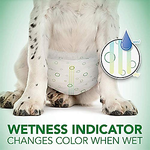 Vet's Best Comfort Fit Dog Diapers | Disposable Female Dog Diapers | Absorbent with Leak Proof Fit | Large/X-Large, 30 Count