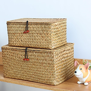Moosky Wicker Shelf Baskets with Lid,Natural Seagrass Storage Basket Boxes Handwoven Rectangular Baskets Bins Multipurpose Home Organizer Decor (Large)