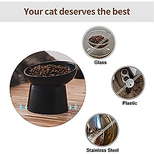 KITCHENLESTAR Small Ceramic Raised Cat Bowls, Tilted Elevated Food or Water Bowls, Stress Free, Backflow Prevention, Dishwasher and Microwave Safe, Lead & Cadmium Free(Black)