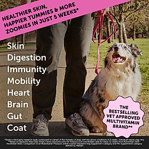Pet Honesty Omega 3 Fish Oil & Multivitamin Max Strength Bundle: Wild Caught Omega 3 Supplement & 15-in-1 Dog Vitamins for Skin, Coat, and Health (32oz)