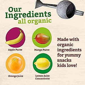Pumpkin Tree Peter Rabbit Organics Mango, Banana and Orange Snacks, 4 Oz (Pack of 10)