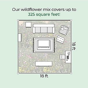 Colorado Wildflower Seed Mix, Covers 325 Sq Ft, 14 Flower Varieties, Over 53,000 Seeds - Created By Nature