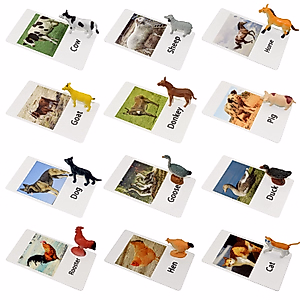Farm Animal Toys with Flash Cards - 12 Sets of Realistic Animal Figures - Educational Learn Cognitive Toys & Animal Matching Game Playset for Toddlers Kids