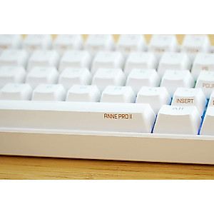 Obinslab Anne 2 Pro Mechanical Gaming Keyboard 60% True RGB Backlit - Wired/Wireless Bluetooth 4.0 PBT Type-c Up to 8 Hours Extended Battery Life, Full Keys Programmable (Gateron Red, White)