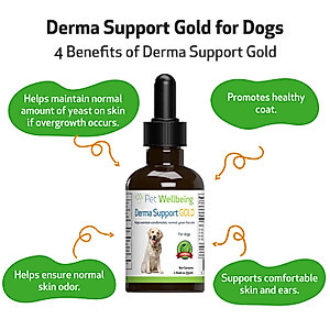 Pet Wellbeing Derma Support Gold for Dogs - Normal Skin Yeast Balance, Occasional Itching, Healthy Odor, Baikal Skullcap, Phellodendron - Veterinarian-Formulated Herbal Supplement 2 oz (59 ml)