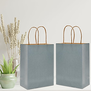 Whaline 24Pcs Kraft Paper Bags Calming Blue Gift Bags with Handles Candy Goodie Treat Bags Grocery Shopping Bags for DIY Crafts Baby Shower Birthday Wedding Party Supplies, 5.9x3.1x8.3inch