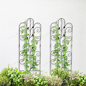 XYADX Metal Garden Trellis for Climbing Plants & Roses 61''x 18.5" Plants Support Rustproof Sturdy Leaves Garden Trellis for Vegetables Trellis for Potted Plants Pack of 2 - Black