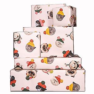 CENTRAL 23 Pink Wrapping Paper Christmas - 6 Sheets of GiftWrap - Cats in Hats - For Girls Women - Trendy Wrap for Kids - Holiday Festive Gifts - Recyclable
