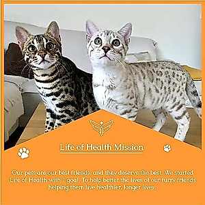 Life of Health Natural Antibiotics for Cats - Cat Antibiotics - Cat Antibiotic - Pet Antibiotics - Cat Immune Support - Antibiotic for Cats - Cat Multivitamin - Cat UTI Antibiotics -