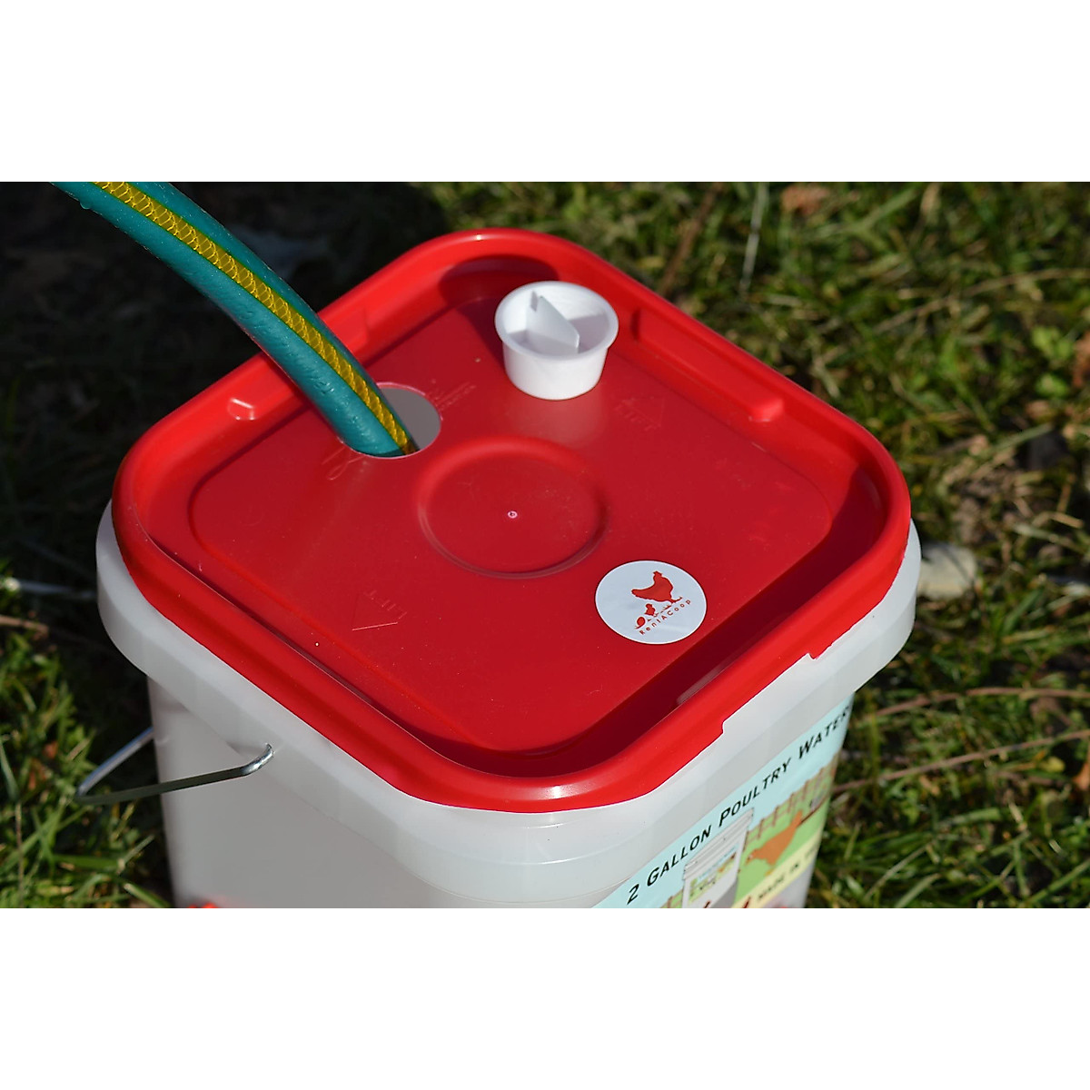 RentACoop 2 Gallon Chicken BPA-Free Plastic Bucket Waterer Set with 4 Horizontal Nipples - Corner Placement