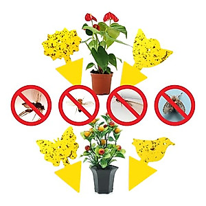 Yellow Sticky Trap for Gnats, 40 Pcs Fruit Fly Trap for Indoor House, Double Side Sticky Trap for Flying Plant Insect Like Fungus Gnat, Fruit Fly, Mosquito, White Fly
