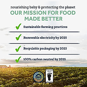 Gerber Organic Grain & Grow Morning Bowl, Oats, Barley & Red Quinoa With Banana & Summer Berries, 4.5 Ounce (Pack of 8)