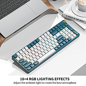 ROYALAXE R100 Wireless Mechanical Keyboard, Upgraded TTC Gold Pink Switches, Hot Swappable Wired/Bluetooth 5.0/2.4G Wireless Keyboard with RGB Light for Windows & Mac, PBT Keycaps, Whale Blue