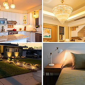 VITUNOV G4 Halogen Bulb 12V 20W, 12 Pack G4 Light Bulb Dimmable, T3 JC Type G4 Base Bi-Pin Bulb, for Under Cabinet Puck Light, Chandeliers, Landscape Lighting, Warm White 2700K