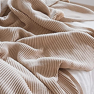 Lumi Living 100% Soft Cotton Textured Raised Stripes Rib Knit Throw Blanket with Tassels (Neutral)
