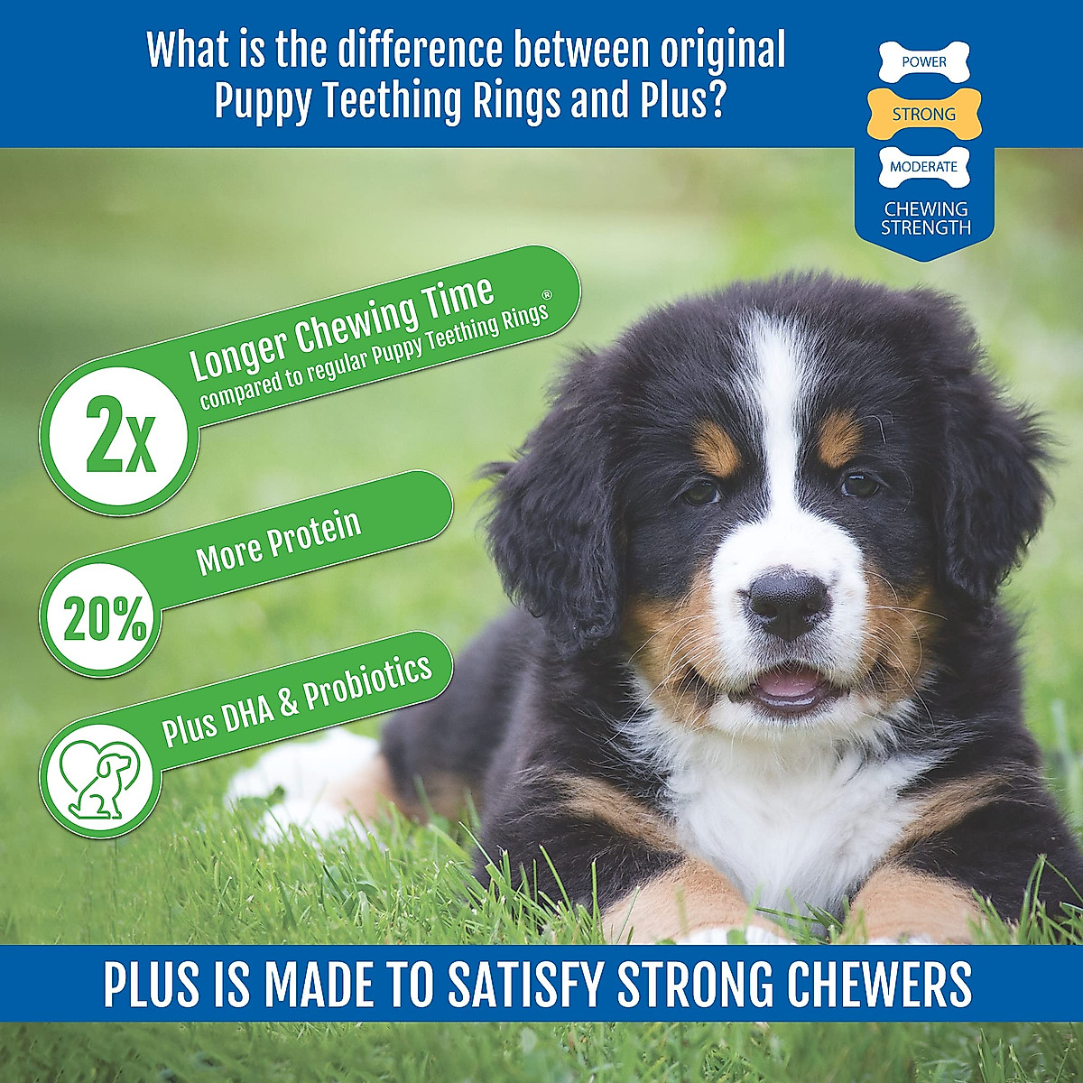 N-Bone Puppy Teething Rings Plus Chicken Flavor Dog Treat, 3 Count Bag, 3.6-oz