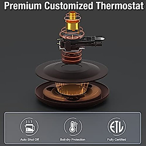 Dezin Electric Kettle, 1.2L Portable Electric Tea Kettle with Double Wall, 304 Stainless Steel Kettle Water Boiler, Small Electric Kettle with Auto Shut-Off, BPA-Free, Hot Water Kettle for Coffee