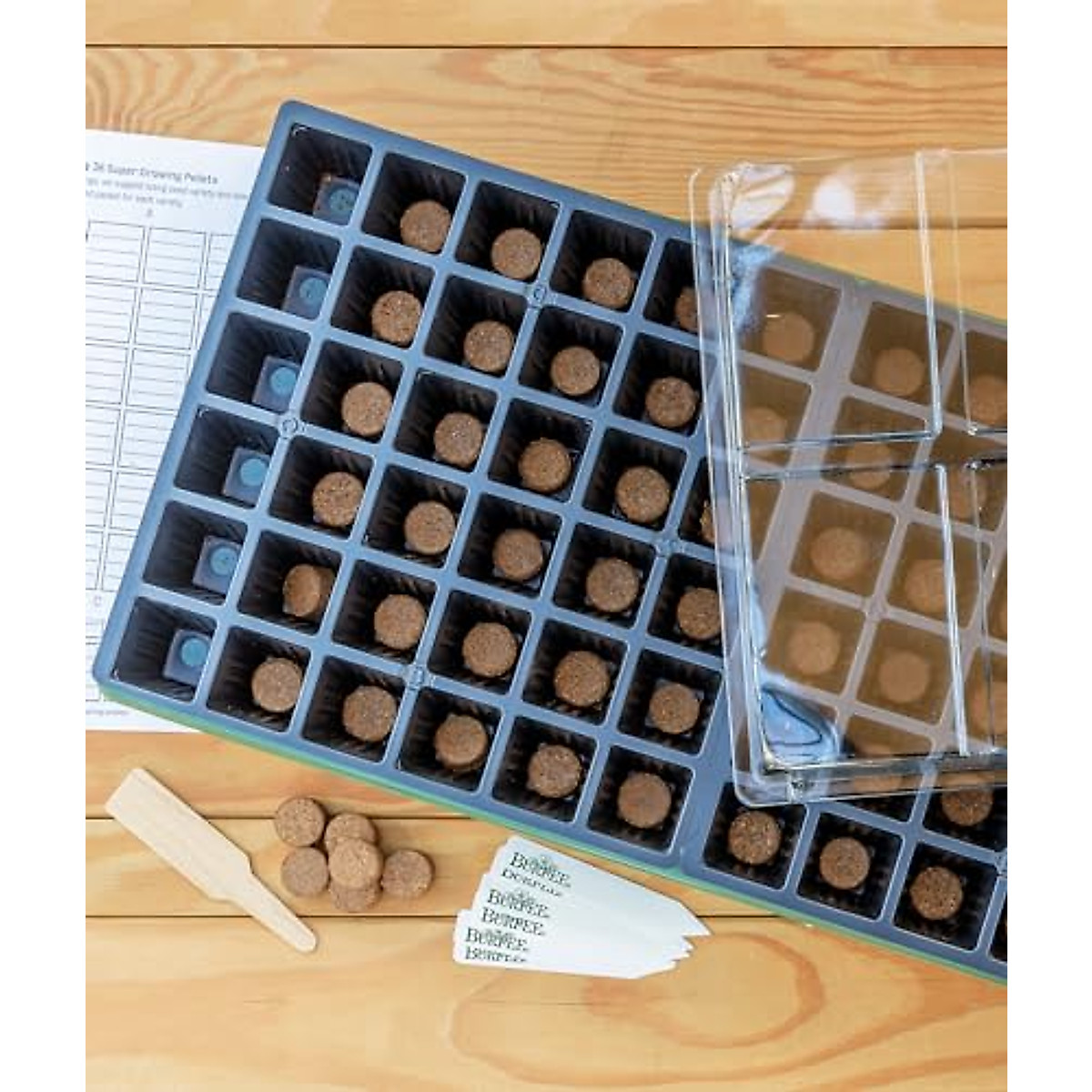 Burpee XL Self-Watering Growing System Indoor Seed Starting 10" W x 20" L x 5" H, 1 Kit (32 Cells)