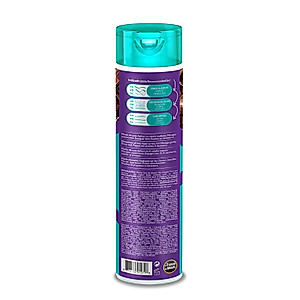 NOVEX My Curls Shampoo - 10.14 oz - Defines Curls -Controls Volume - Reduces Frizz - Adds Softness - For All Curly Hair Types