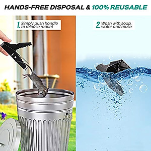 eXuby Large Powerful Rat Traps (4 Pack) - Kills Instantly with Powerful Steel Spring - Setup in Seconds - Wash & Reuse Over & Over - Hands Free Disposal - Rat Control Without Harmful Poisons or Chem