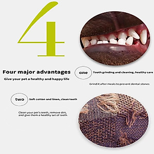 2023 New Indestructible Robust Bear Dog Toy- Companion for Heavy, Stuffed Plush Dog Toys Ideal Pet Gift for Small, Medium, and Large Breeds (L, Blue)