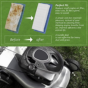 Eopzol 496077 Air Filter Cartridge for Briggs & Stratton 691643 4195 Generac 0691643 1691643 John Deere AM34093 Fits for 176400 19B400 19E400 19F400 19G700 192400 196400