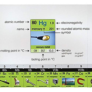 Carolina Student Infographic Periodic Table