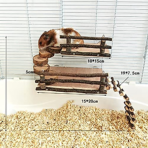 Hamster Climbing Toys, 2 Layer Wooden Activity Platform, Rat Toys, Rat Cage Accessories with Chewing Toys for Hamster Bear Squirrels Hedgehogs Parrots Climbing Ladder