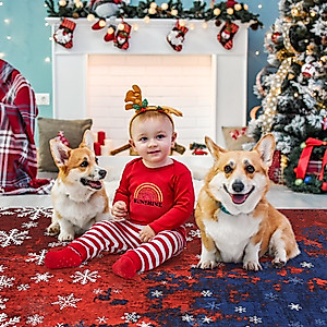 CAROMIO Christmas Hallway Runner Rug Holiday Decorative Xmas Snowflake Area Rug, Washable Stain Resistant Non-Slip Floor Cover Modern Abstract Entrance Carpet for Laundry Kitchen, 2' x 8'