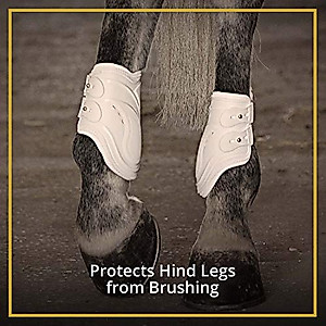 Kavallerie Dressage Horses Boots: Fleece-Lined Faux Leather Woof Brushing Boots for Training, Jumping, Riding, Eventing - Quick Wear for Breathable, Lightweight & Impact-Absorbing Wrap
